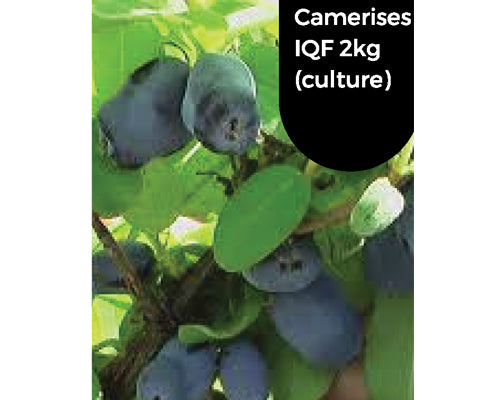 HASKAP BERRIES IQF - VERGER PETITS FRUITS ST-LOUIS 2 kg – PantryLot